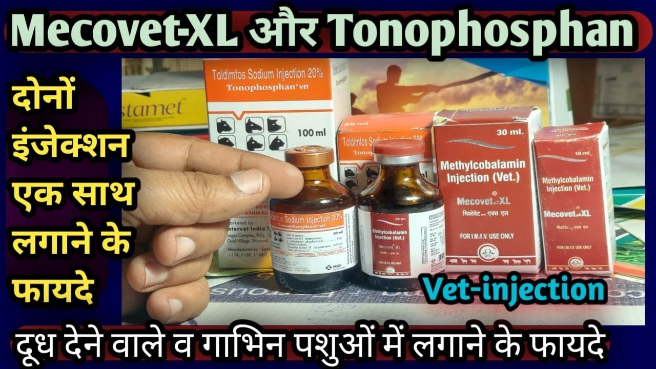 Mecovet-XL & Tonophosphan vet injection Benefits of applying both ...