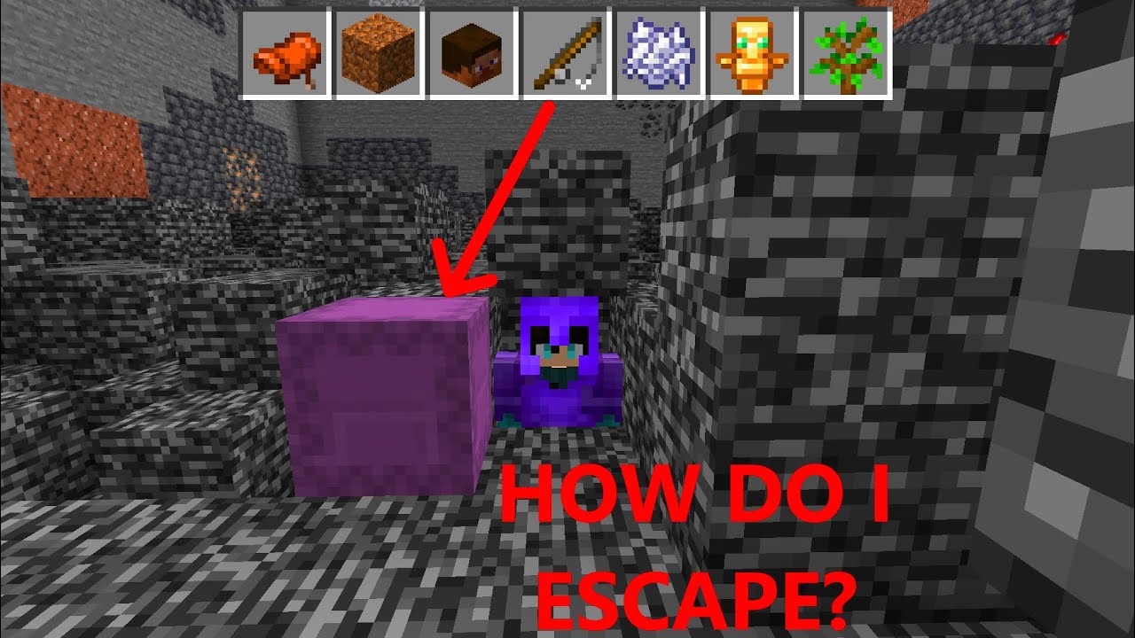99% cant solve this minecraft riddle - YouTube