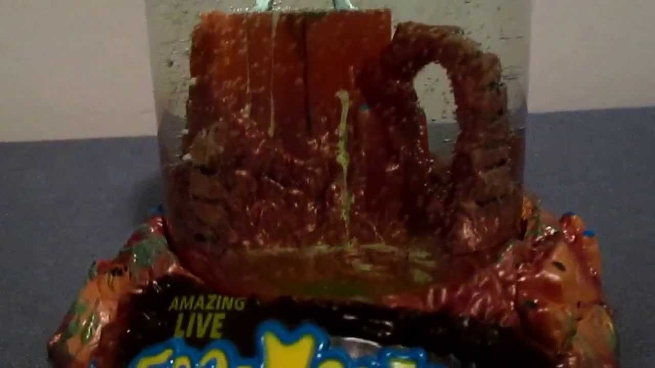 Sea Monkeys On Mars-Day 3 (Check-up #1) - YouTube