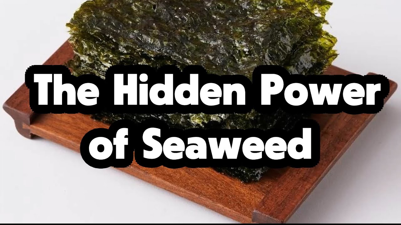 The Hidden Power of Seaweed! #Superfood #HealthyEating - YouTube