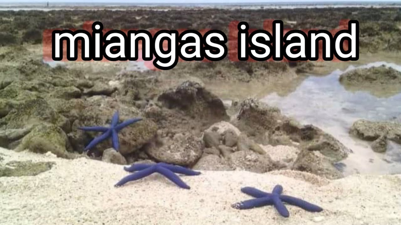 miangas island #sulawesi utara #manado #youtube vidio - YouTube