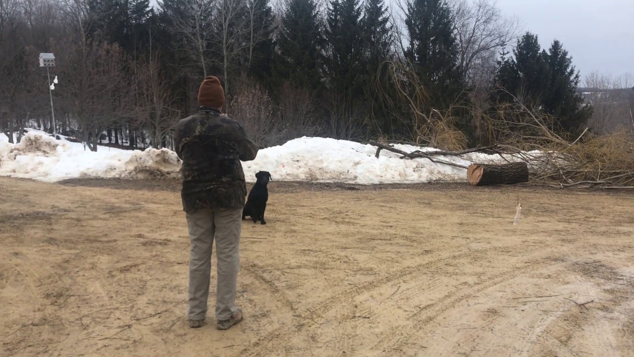 3-Hand Cast - YouTube