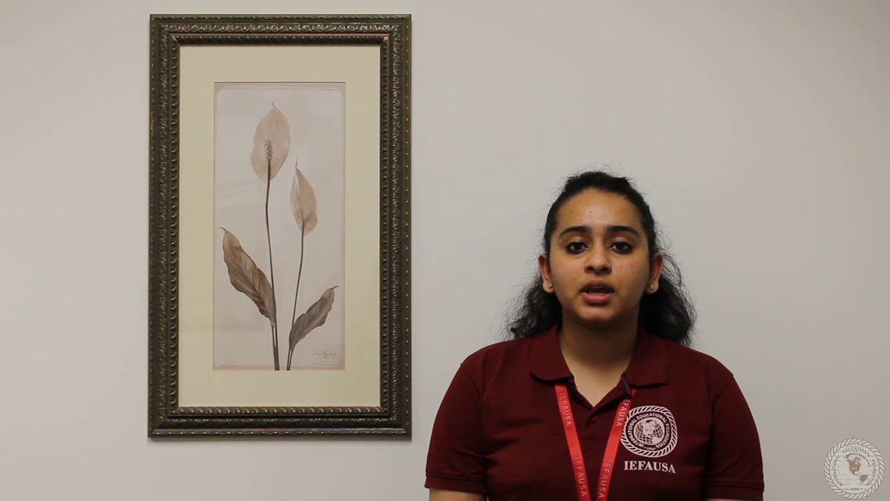 Mentor Program Presented by Simi Joseph - YouTube