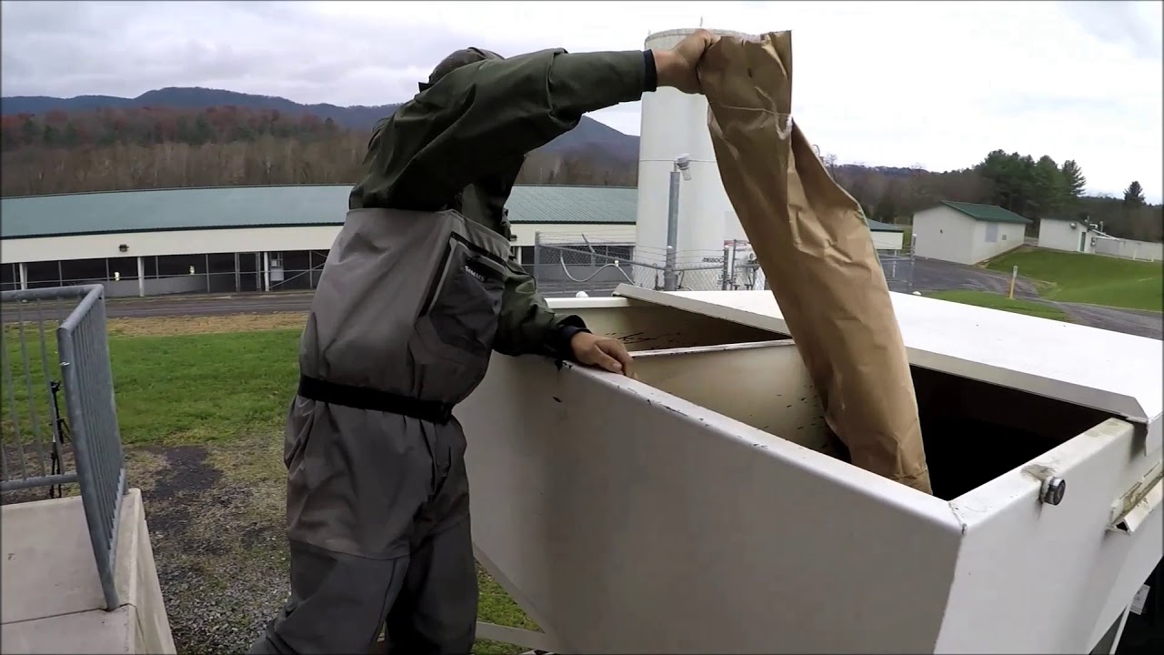 Raising Trout in Virginia – Episode 2 - YouTube