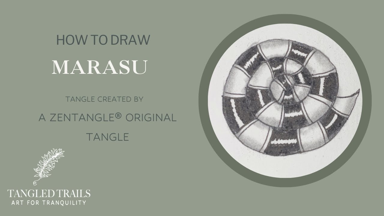 How to Draw Tangle Pattern, Marasu for Beginner Tanglers/Certified Zentangle Teacher - YouTube