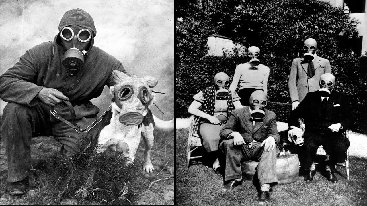 Rare photographs of war dogs with gas masks, 1915-1970 - YouTube