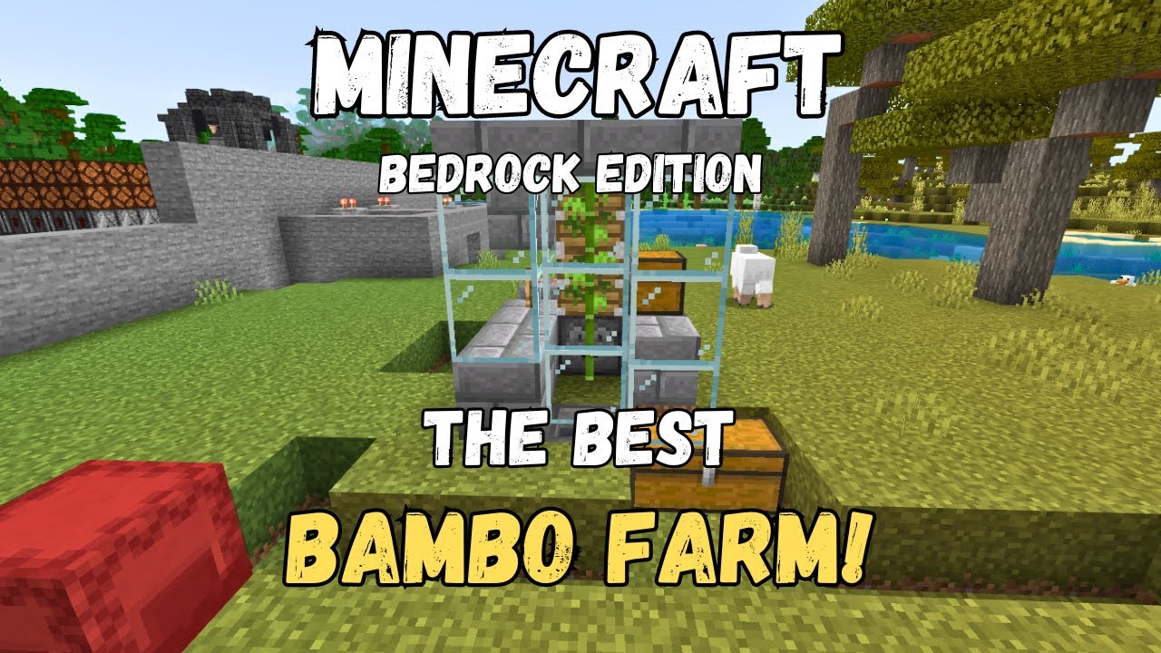 The BEST, FASTEST BAMBOO Farm In Minecraft Bedrock Edition? (Easy ...