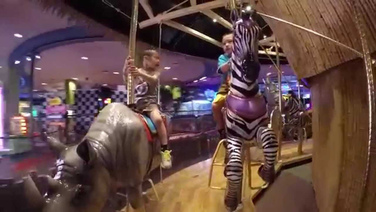Rhino and Zebra race on the Carousel - YouTube