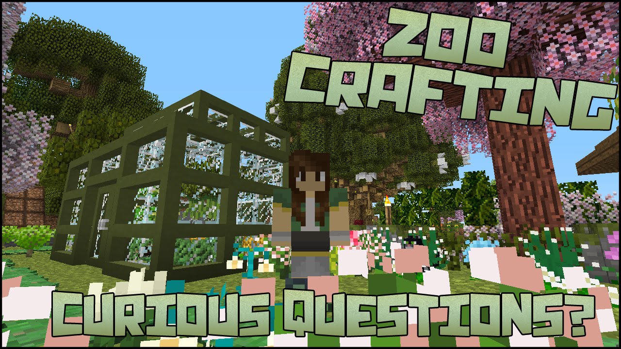 Zoo Crafting! Curious Questions for a Q&A? - YouTube
