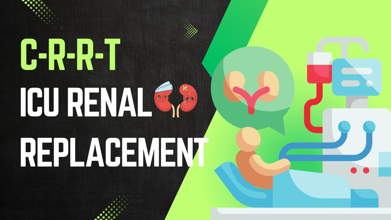Renal Support in the ICU: An Overview of Continuous Renal Replacement ...