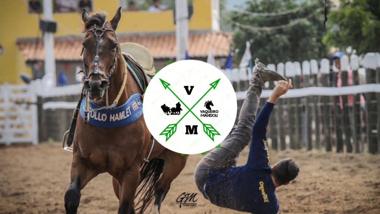 VOLTA VAQUEIRA - ZE VAQUEIRO || COM GRAVE || @vaqueiromandou - YouTube