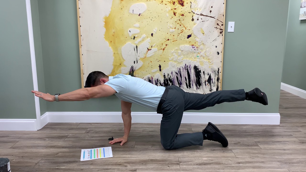 Bird Dog Exercise - YouTube