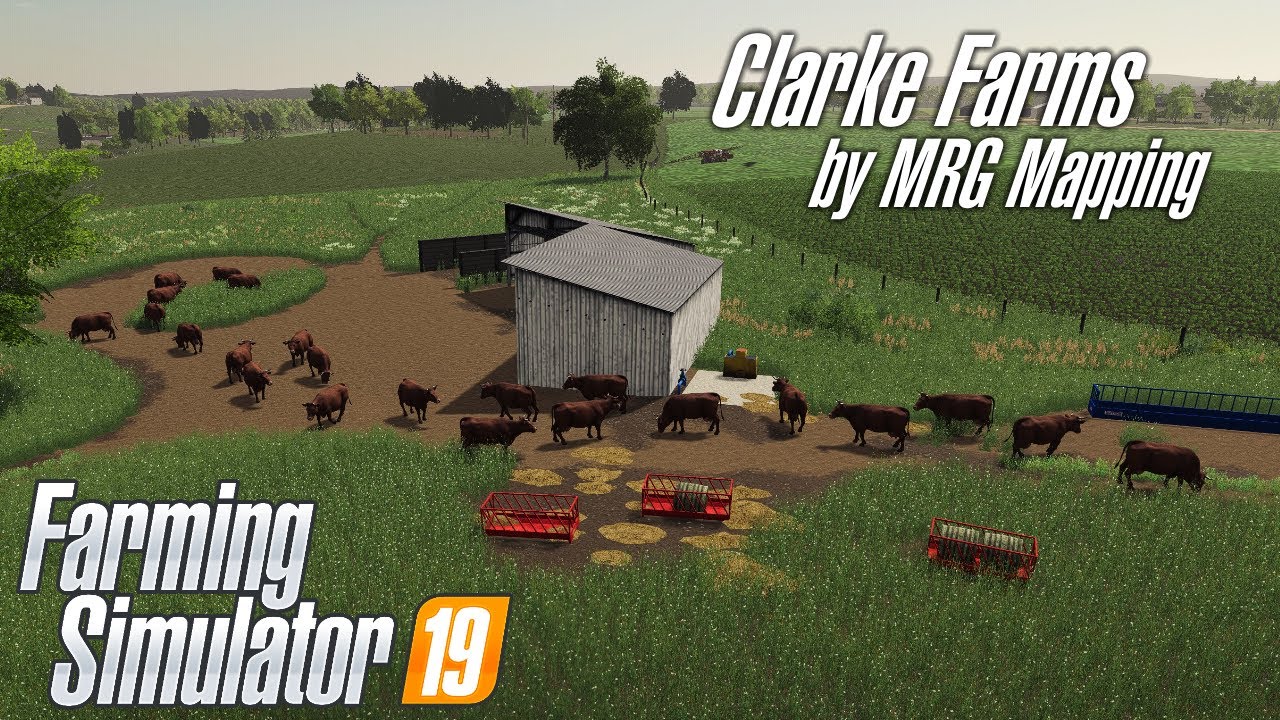 We bought 50 head of cattle, and they all stand in the driveway ...
