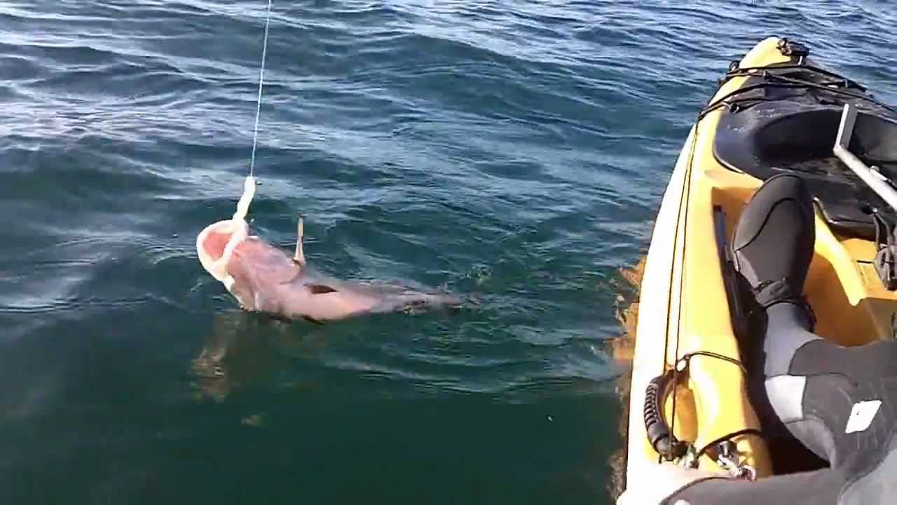 Summer cod fishing. - YouTube