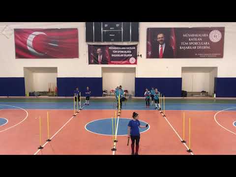 Hokey de İç dış ve top sürme teknikleri
