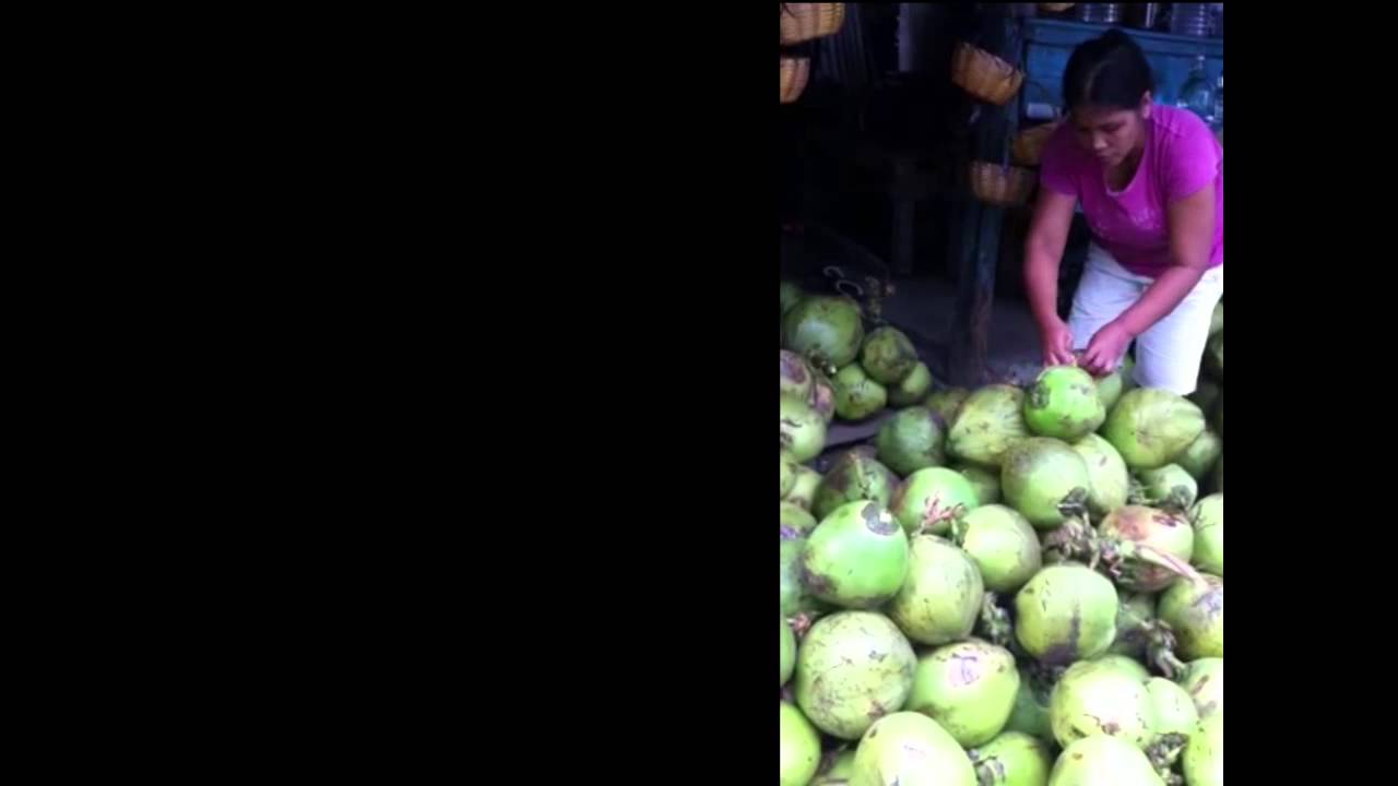 How do you tie two coconuts together? - YouTube