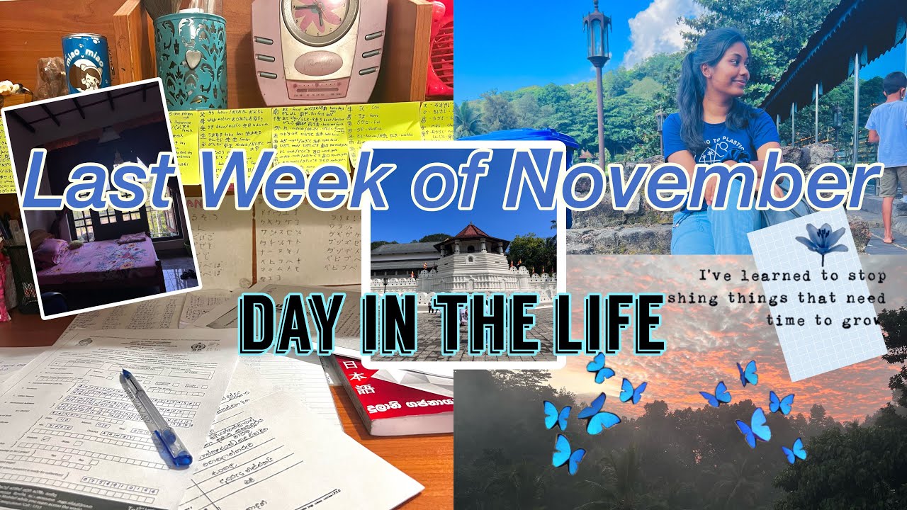 Last week of November ^ ^ |Days in the life 🍃 - YouTube