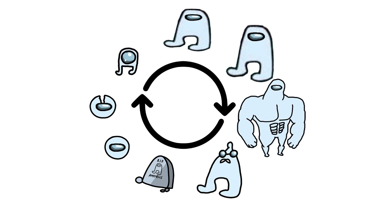 amogus life cycle | amogus meme - YouTube
