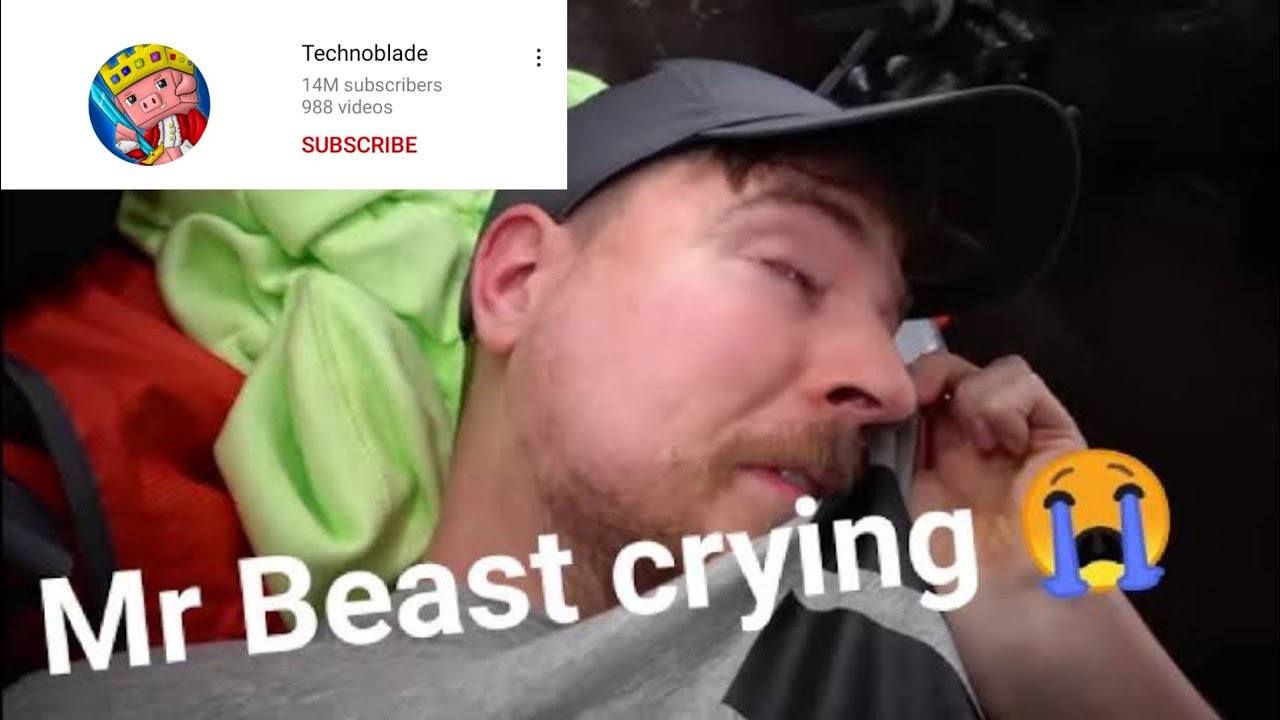 @MrBeast Last Message To @Technoblade 😭 | Mr Beast Cry - YouTube