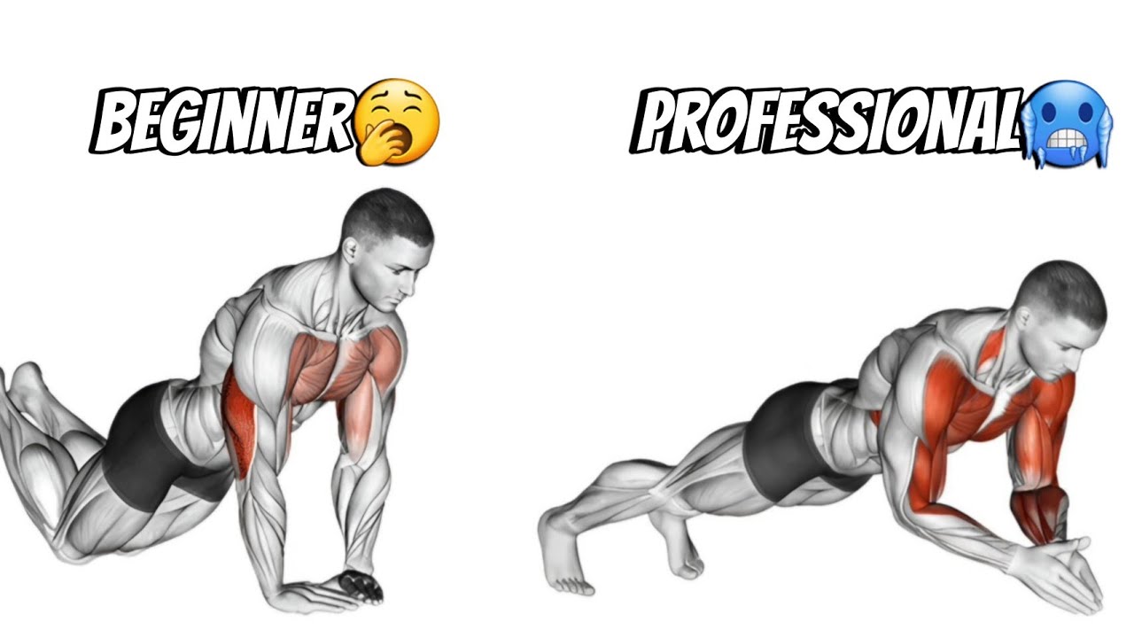 Progress in Chest Workouts: From Beginner to Pro🔥 - YouTube