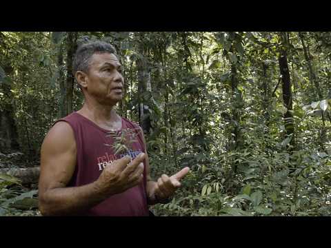 Lékòl dan bwa - Relation Homme-Nature