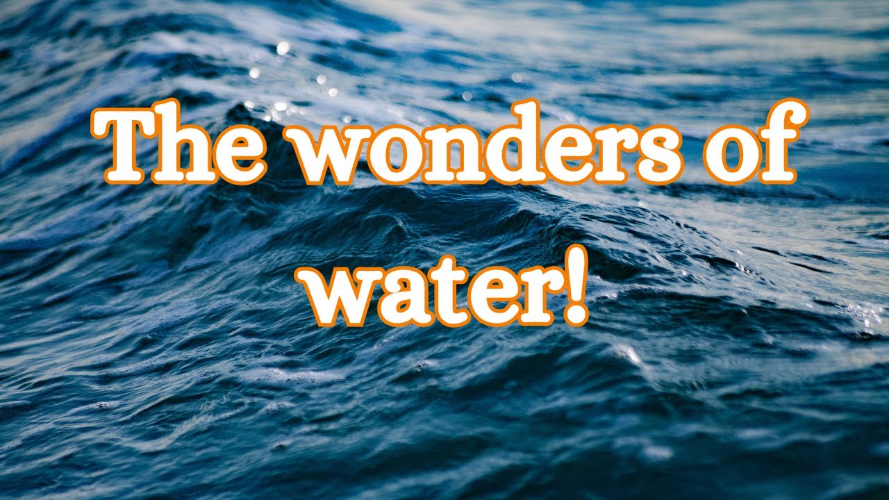 Wonders of water #floridalife #education #water - YouTube