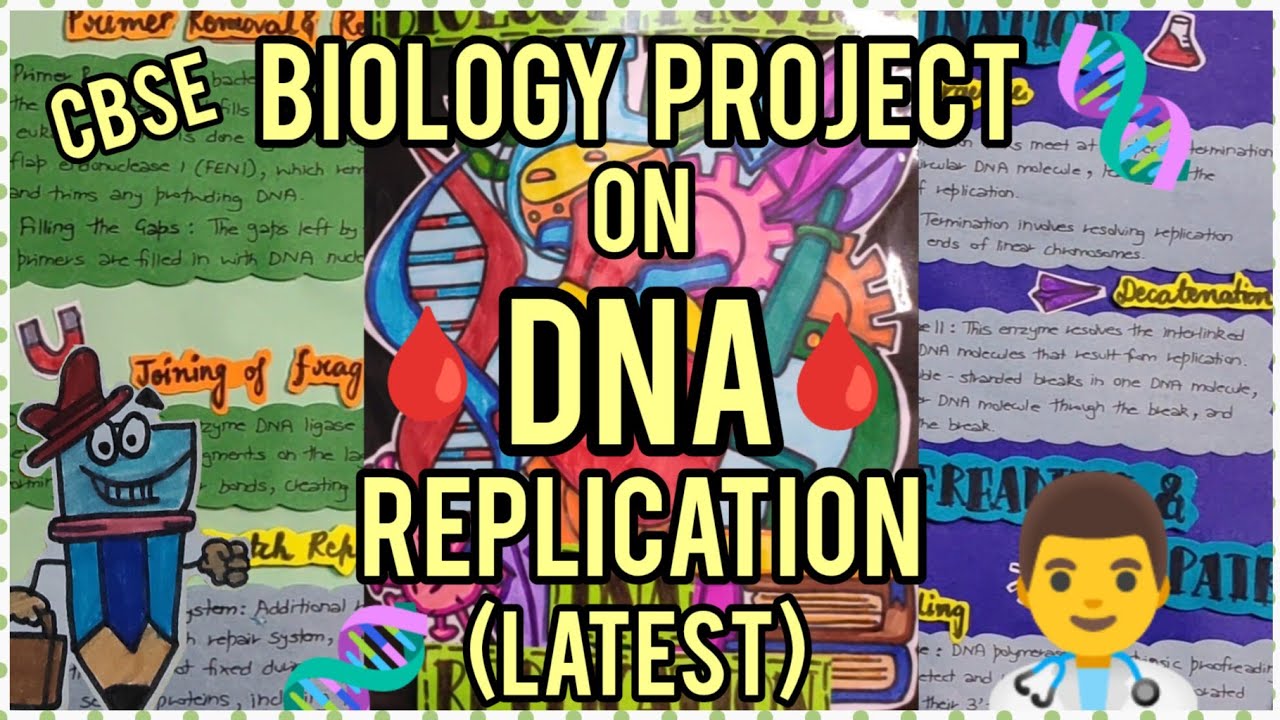 DNA Replication Biology Project | Project File | Biology Project | CBSE ...
