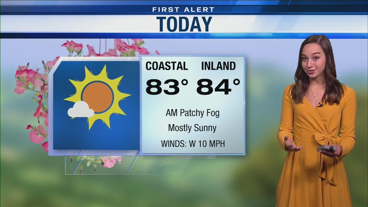 WMBB Midday News - YouTube