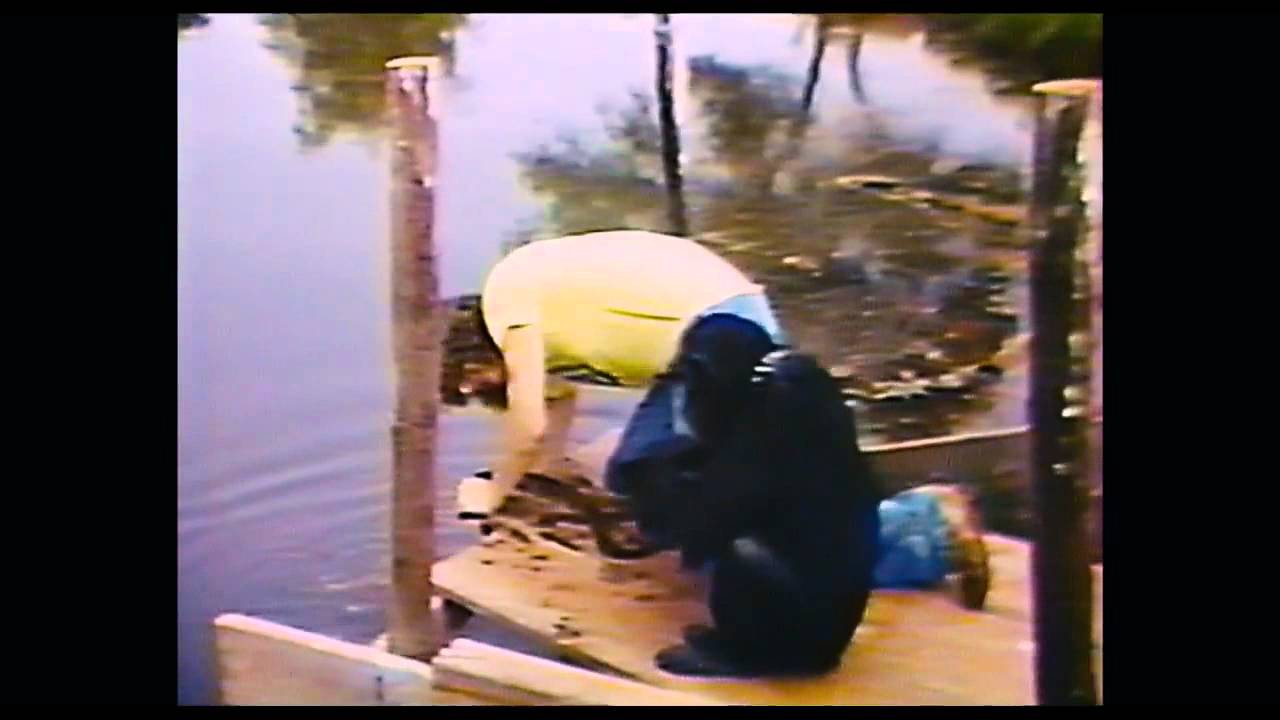 Project Nim - Nim and Bob's Days Out - YouTube