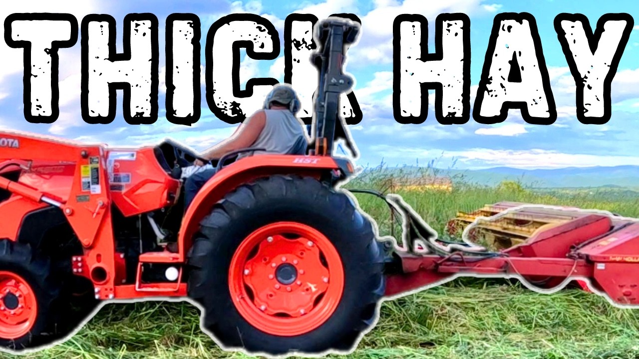 KUBOTA MX Cutting Thick Hay with New Holland HAYBINE | 2024 First Cut ...