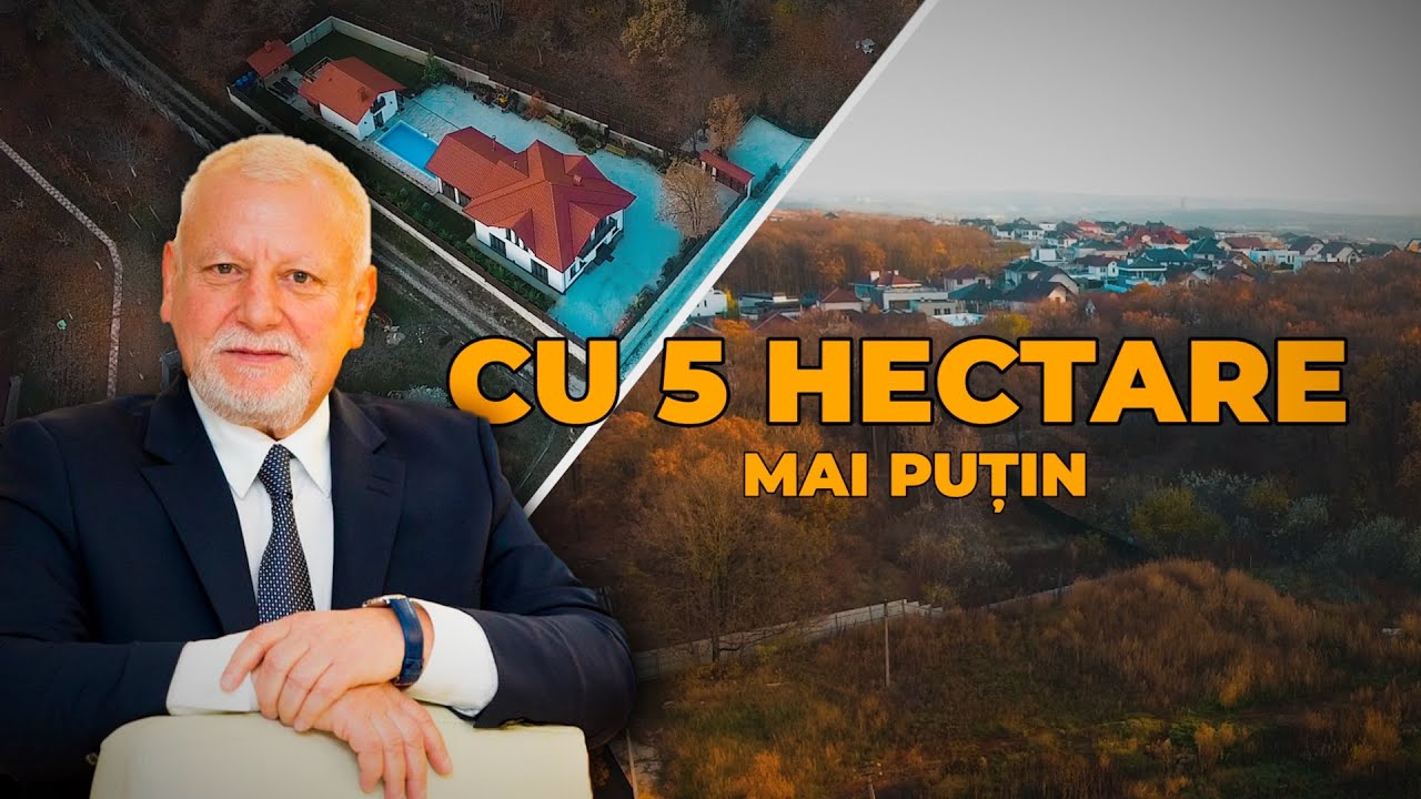 Păduri transformate în „terenuri agricole” | zdg.md - YouTube