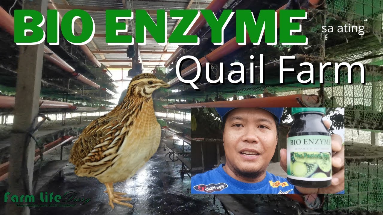 BIO Enzyme sa ating PUGOhan - YouTube