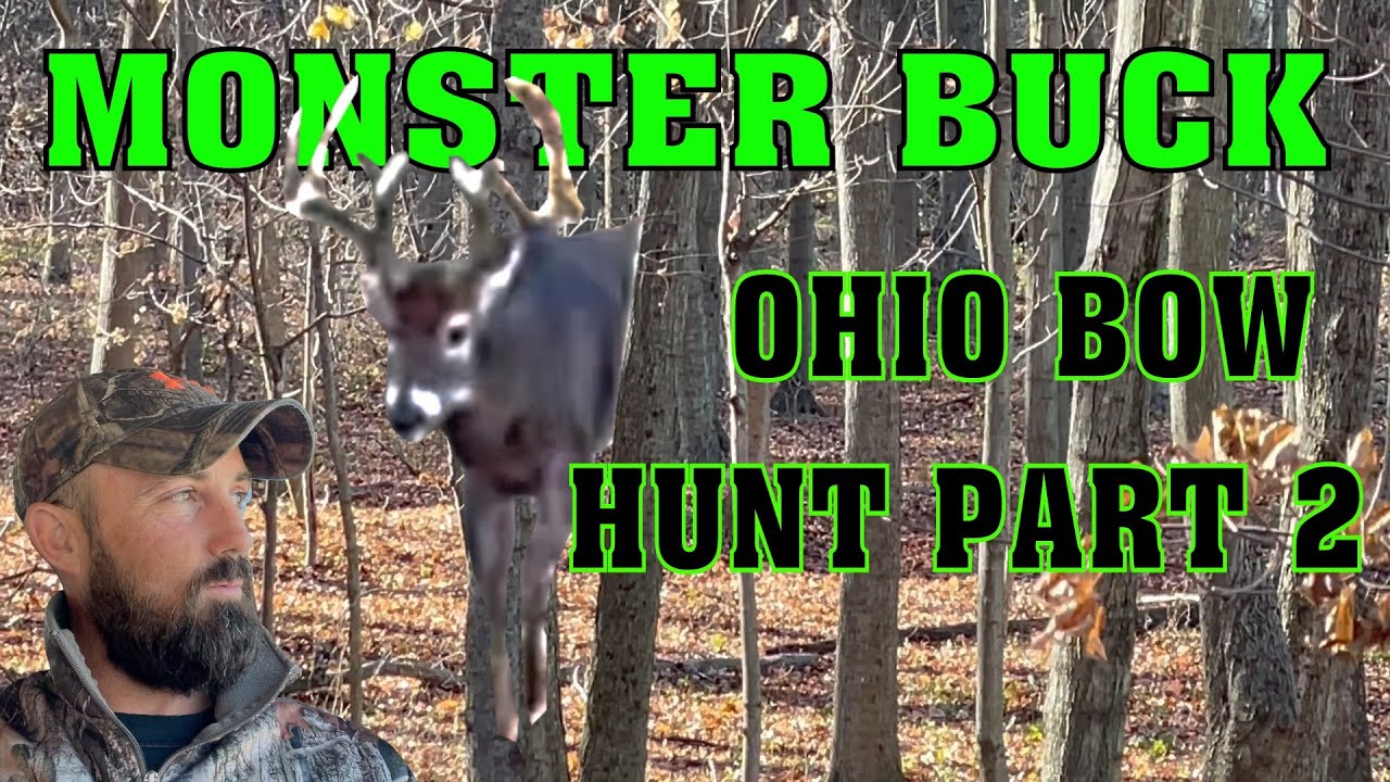 Monster Ohio Buck Headed Right at Me! - YouTube