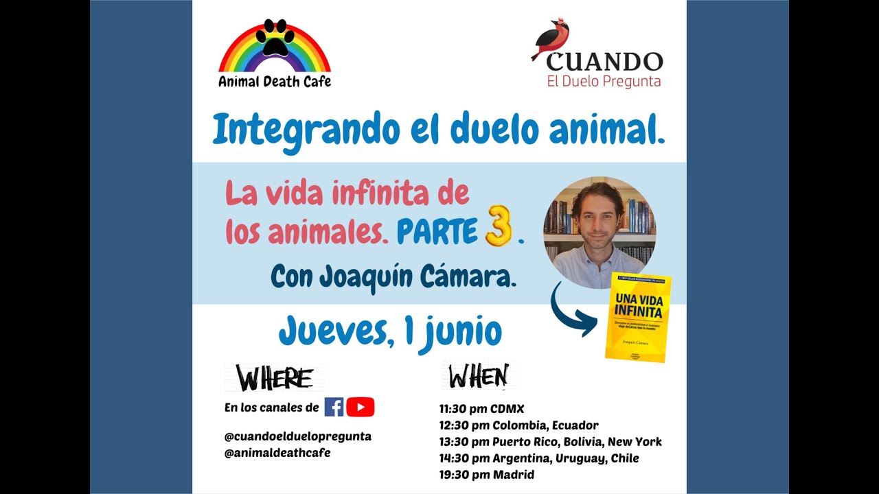 Integrando el Duelo Animal la vida infinita de los animales Parte 3 ...