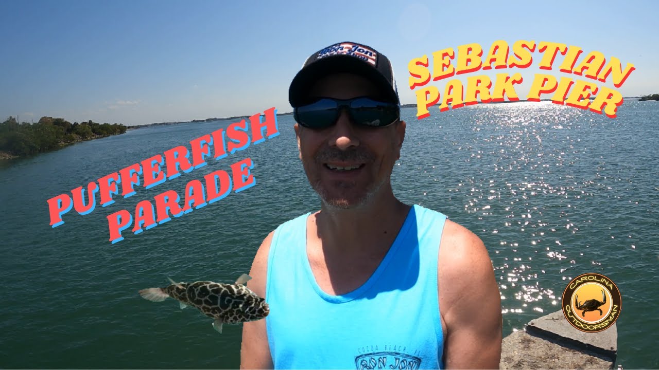 Sebastian Park Pier: Pufferfish Parade (Florida Adventure: Day 3) - YouTube