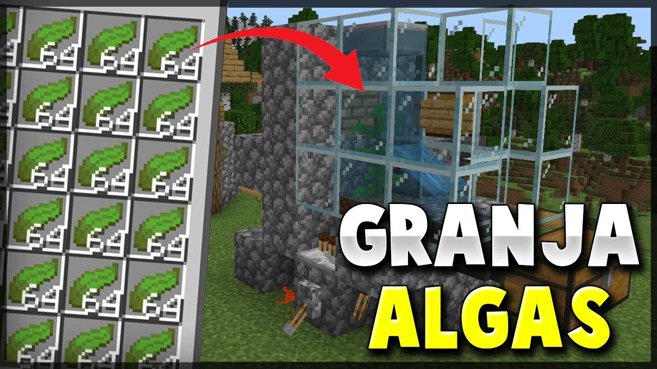 Granja de ALGAS MINECRAFT 1.18 - 1.18.2 | Minecraft Bedrock - YouTube