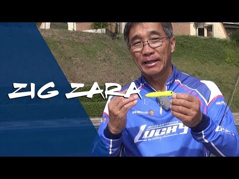 ZIG ZARA [ LUCKY ISCAS ARTIFICIAIS ]
