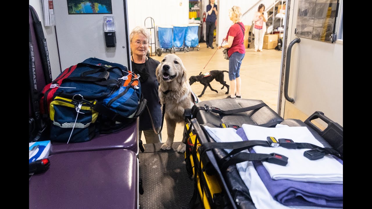 PAWS puppies get acclimated to ambulances and provide ‘puppy love ...