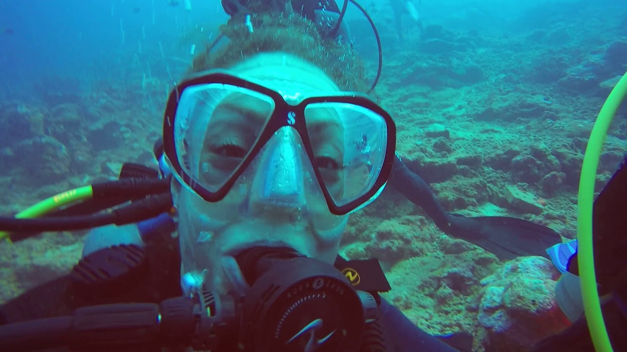 Beqa Lagoon shark dive #1 part I - YouTube