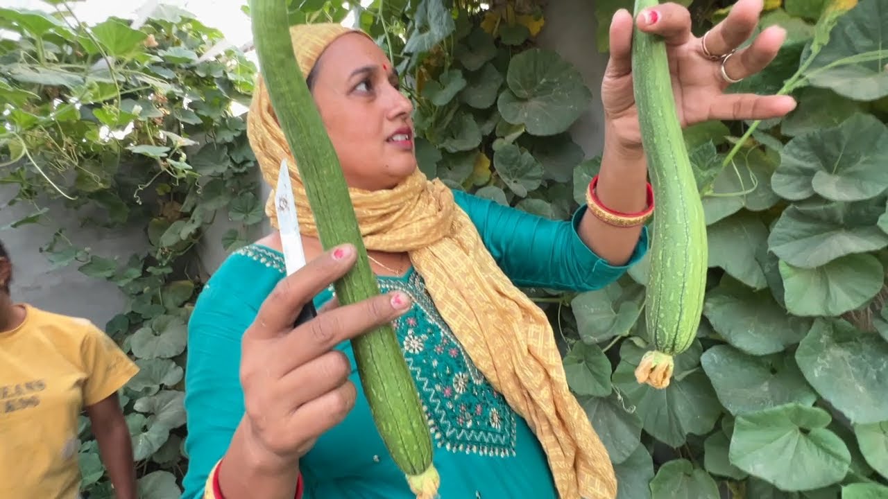 Hamare Kitchen Garden Ki Sabjiya || Sunil Pal Vlogs - YouTube