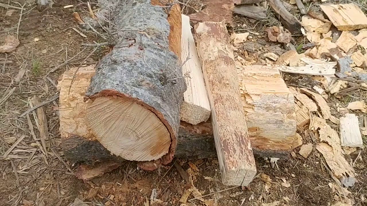 Example log vice - YouTube