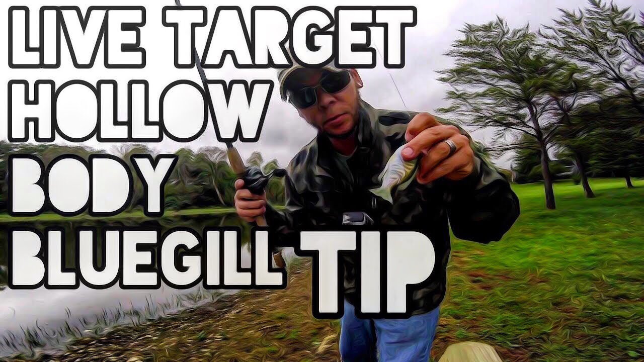 Live Target Hollow Body Bluegill Tip - YouTube