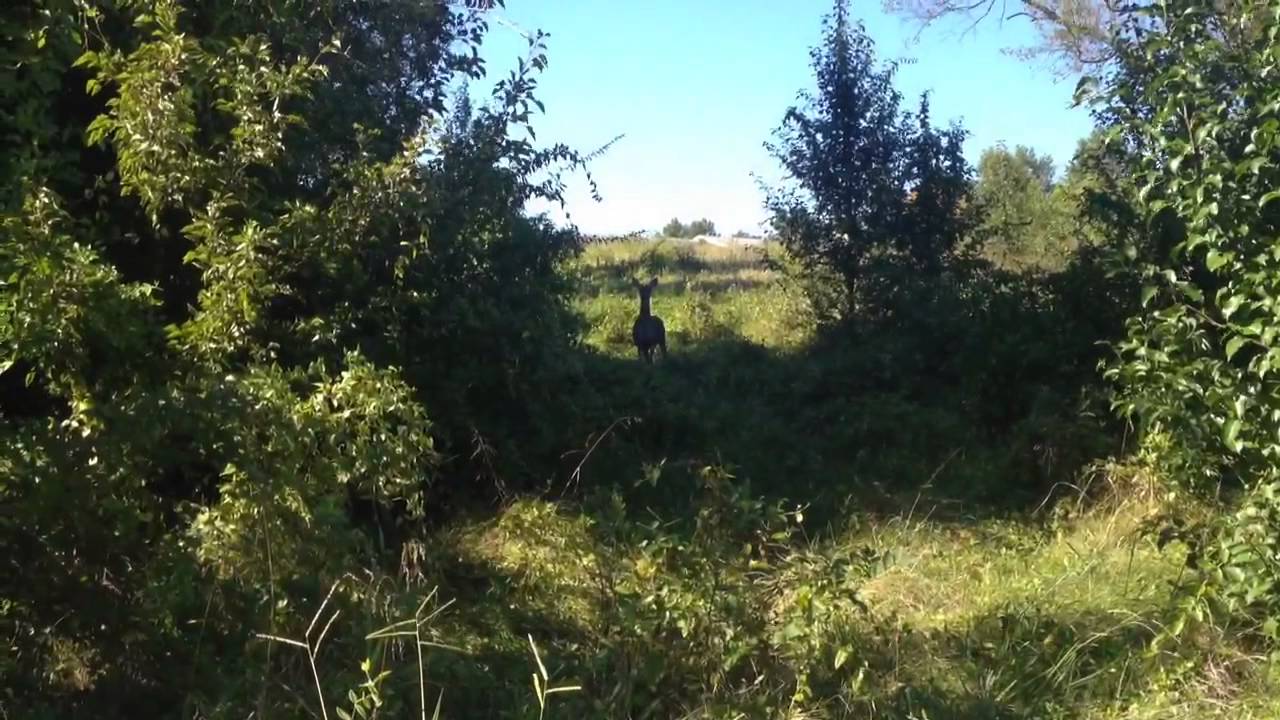 Tom Ballman ~ Progress Update #5 ~ Battling Chronic Lyme Disease - YouTube