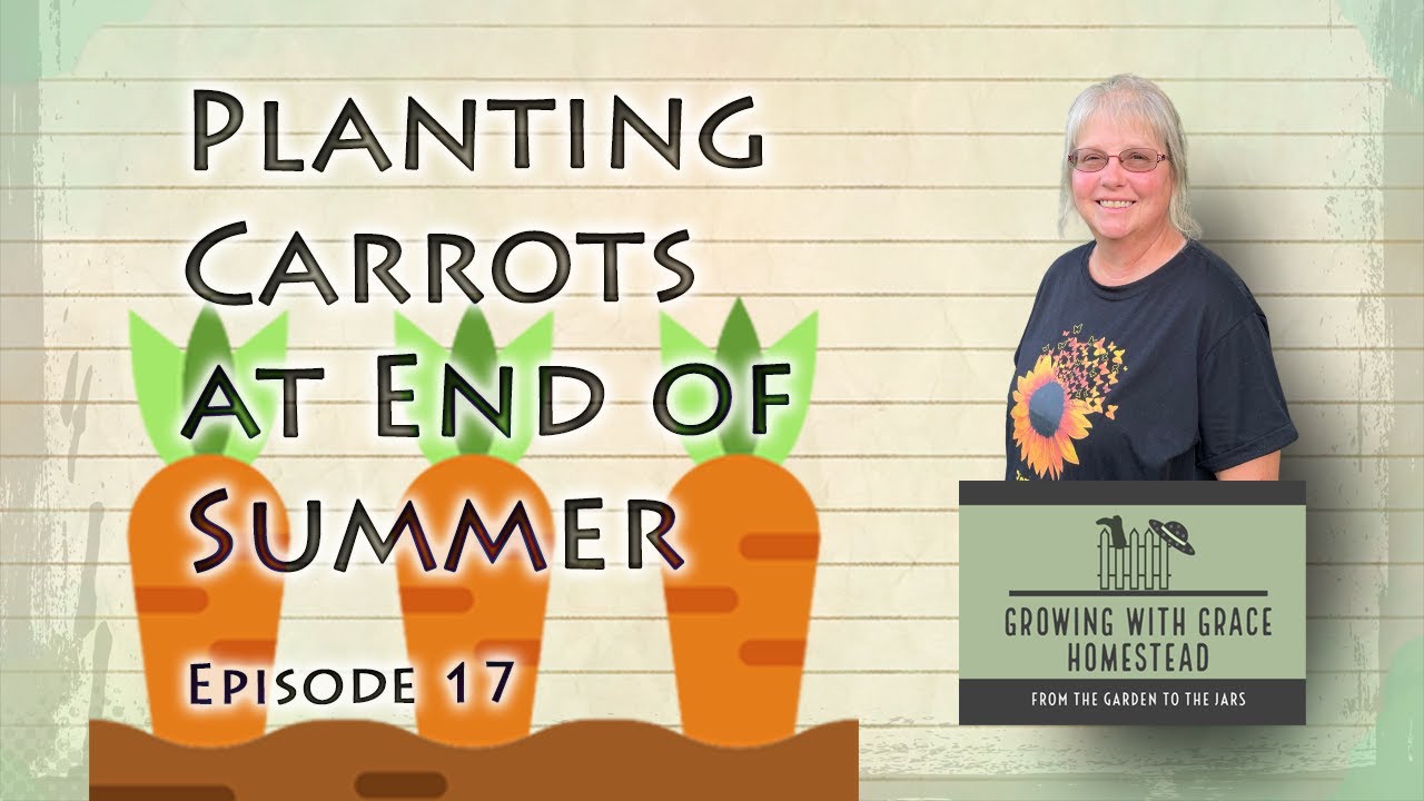 Planting Carrots End of Summer - Episode 17 - YouTube