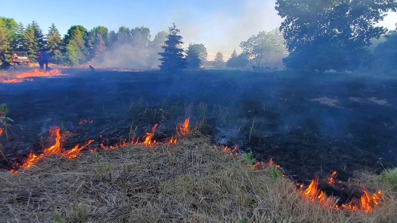 Using Fire to Prep for Tree Planting - YouTube