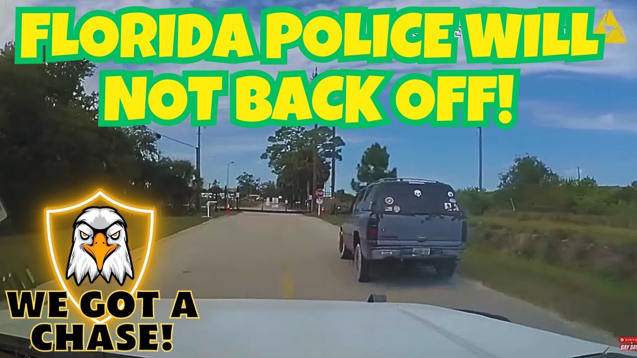 Wild Florida Man Chase Ends In The Trees - YouTube