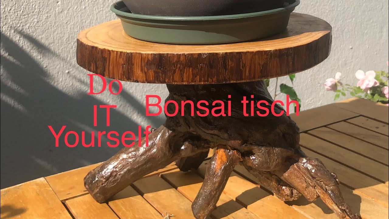 DIY Bonsai Stands /Bonsai oder Kleinholz 2022-23 - YouTube