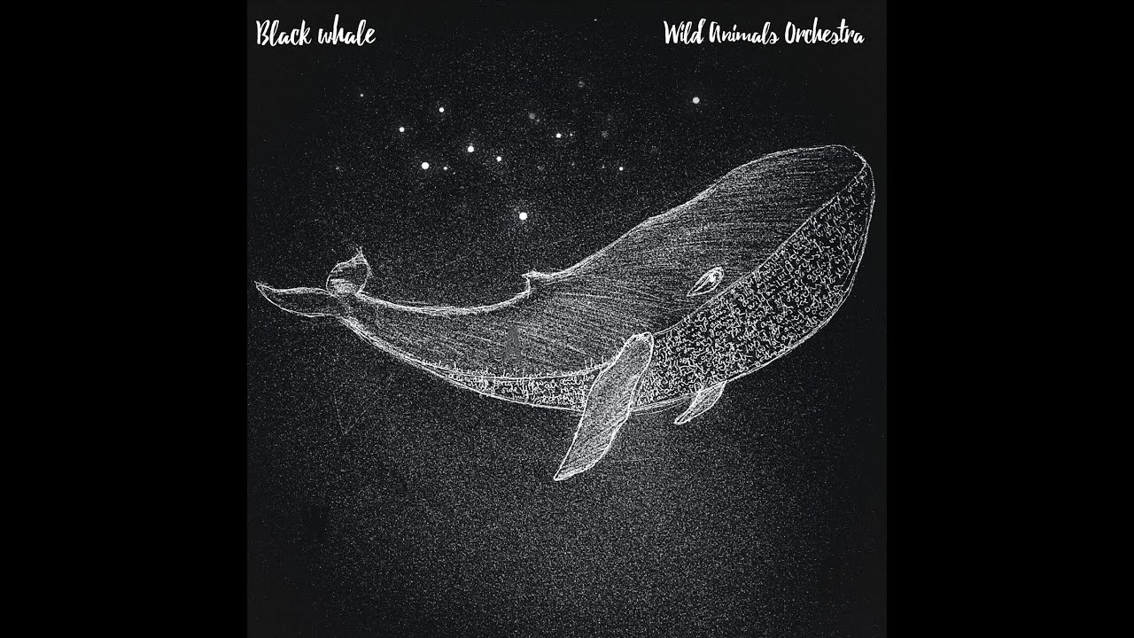 Wild Animals Orchestra - All become one - YouTube