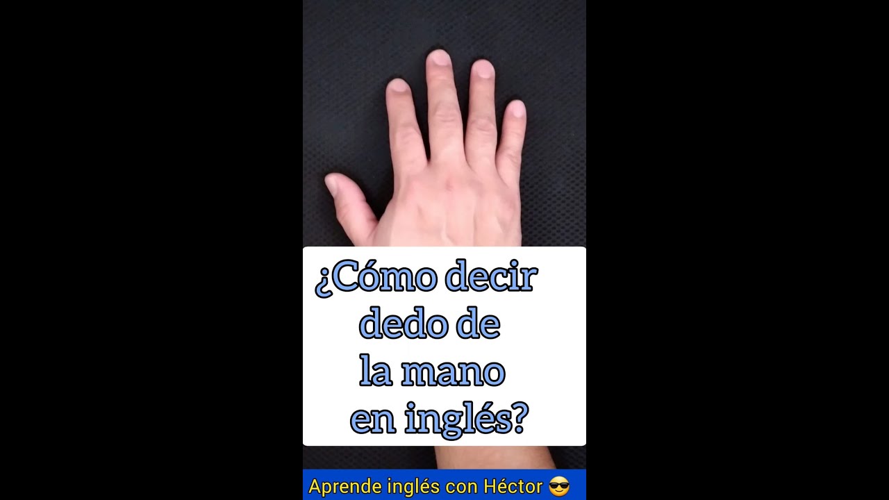 ¿Cómo decir dedo de la mano en inglés? - YouTube