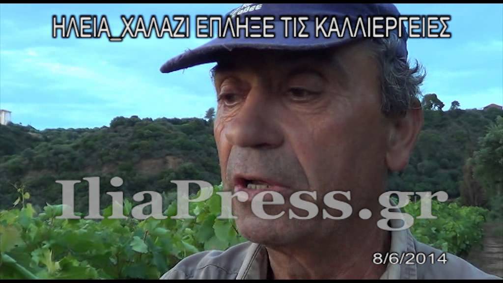 ΚΑΚΟΚΑΙΡΙΑ ΕΠΛΗΞΕ ΤΙΣ ΚΑΛΛΙΕΡΓΕΙΕΣ ΣΤΗΝ ΗΛΕΙΑ - YouTube